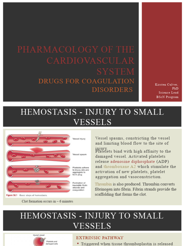 Drugs For Coagulation Disorders 2023 | PDF | Coagulation | Thrombus