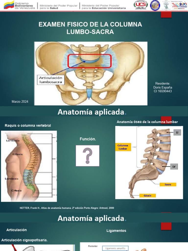 Examen Físico de la Columna Lumbar | PDF | La columna vertebral ...