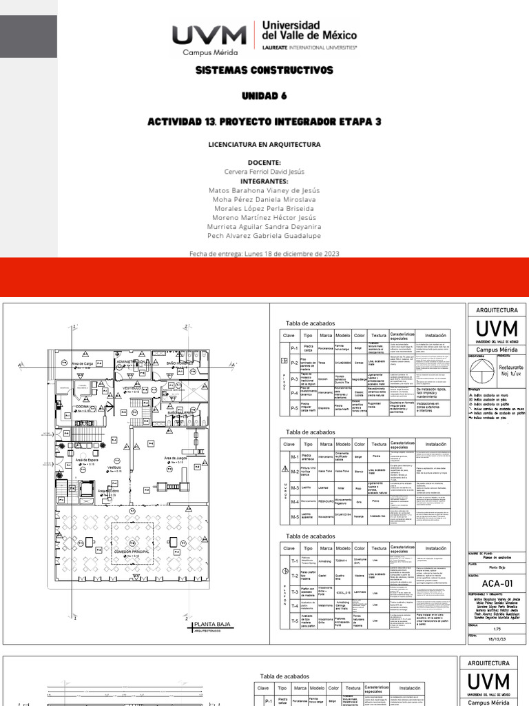 A13 Equipo | Descargar gratis PDF | Madera | Pintar