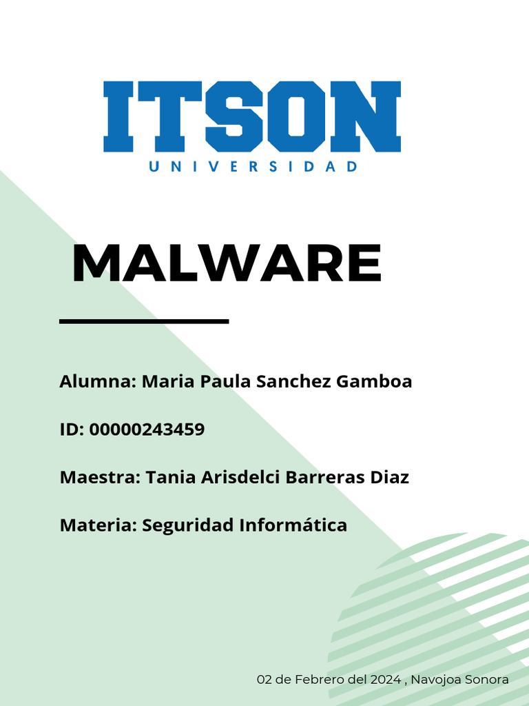 MALWARE | PDF | Seguridad | La seguridad informática