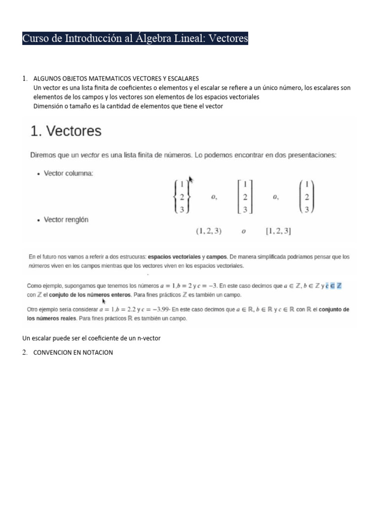 Curso de Introducción Al Álgebra Lineal Vectores | PDF | Escalar ...