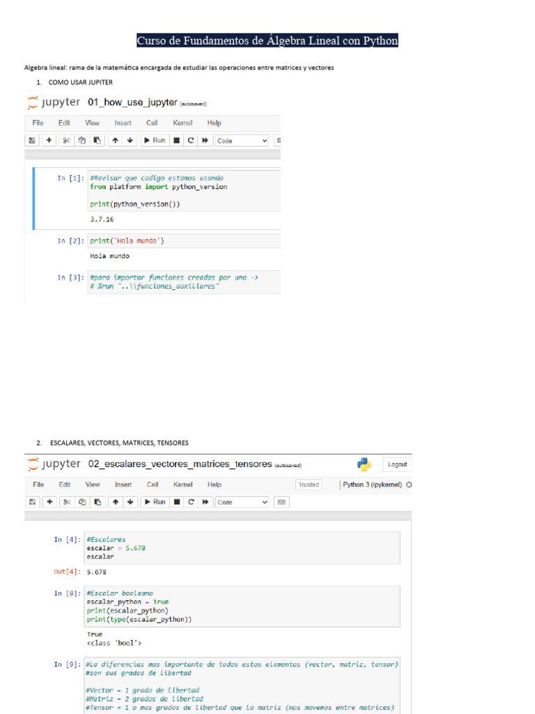 Álgebra Lineal con Python: Curso Básico | PDF | Matriz (Matemáticas ...