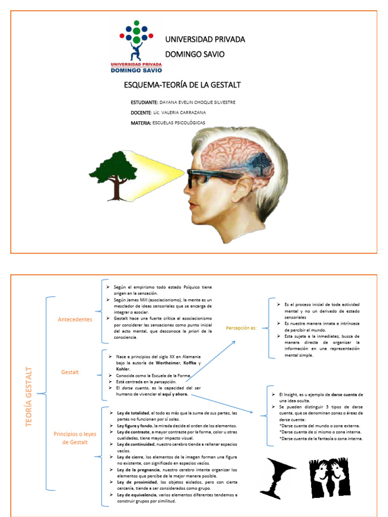 Esquema - Teoría Gestalt | PDF | Percepción | Sicología