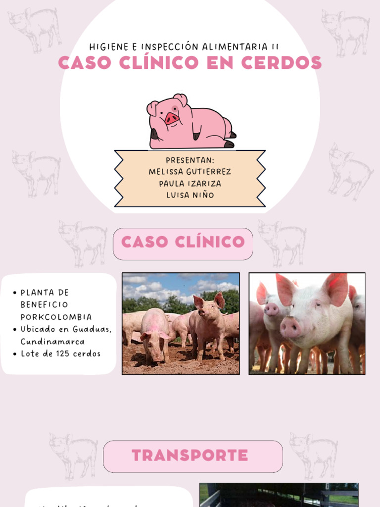 Caso Clínico Cerdos | PDF