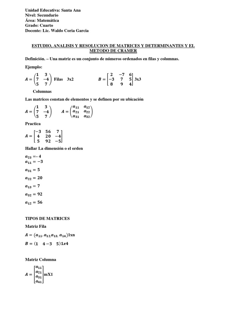 Matrices y Determinantes: Guía Completa | PDF | Matriz (Matemáticas ...