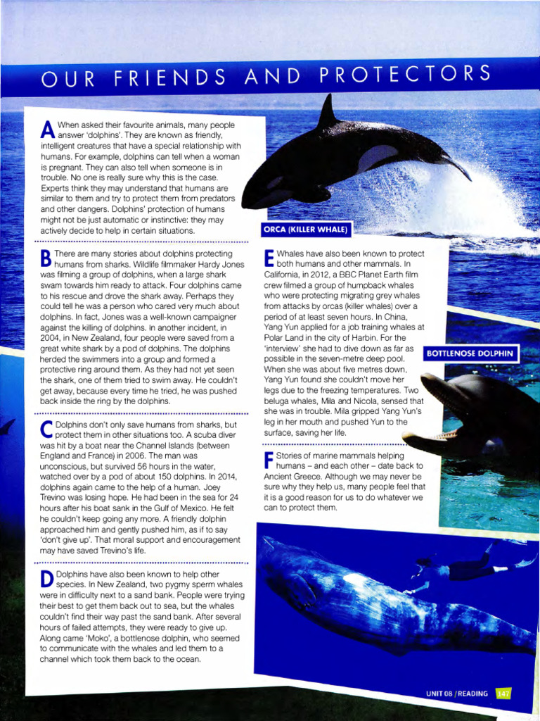 Exam Skill - Note Completion | PDF | Dolphin | Whales