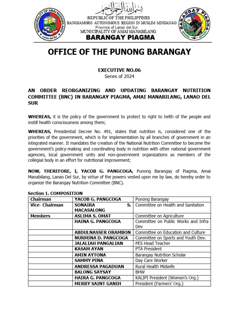 Brgy. Nutrition - 065542 | PDF