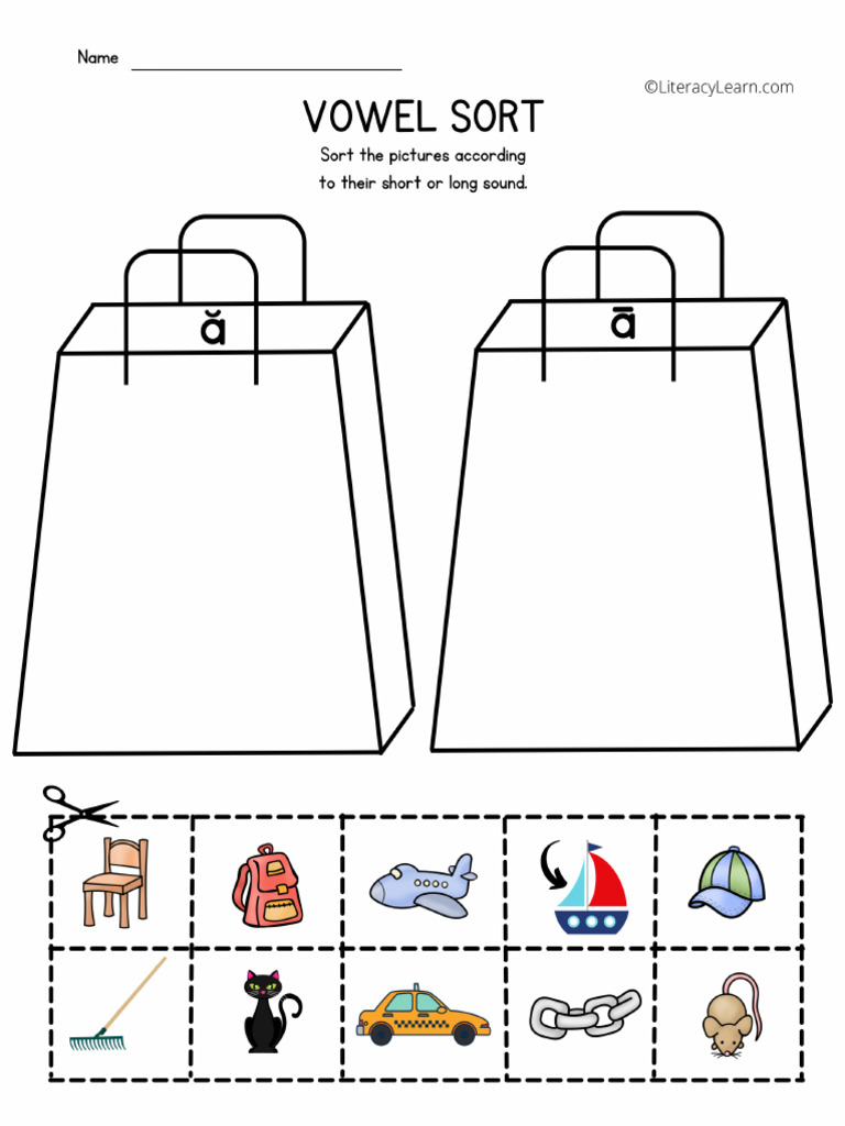 Long and Short Vowel Sorts - LiteracyLearn.com | PDF