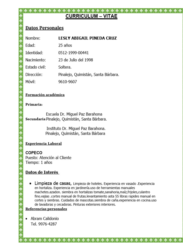 Curriculum Vitae Lesly Abigail Pineda 2024 | PDF