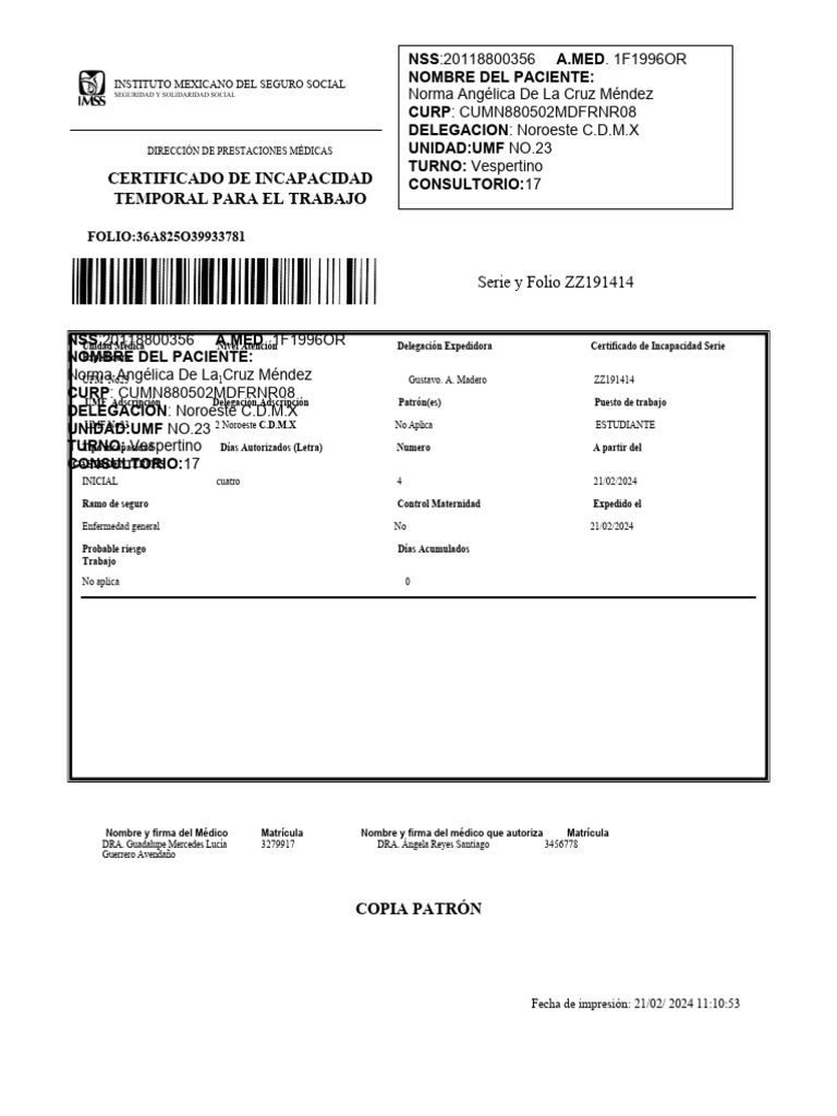 Formato Incapacidad Imss Editable Word | PDF