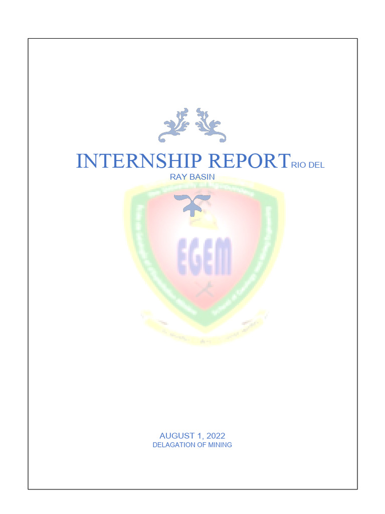 Rio Del Rey Basin Internship Report | PDF | Petroleum Reservoir | Geology