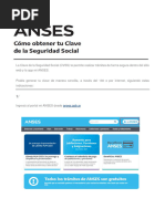 ANSES - Formulario USI-07 | PDF | Internet | Red mundial
