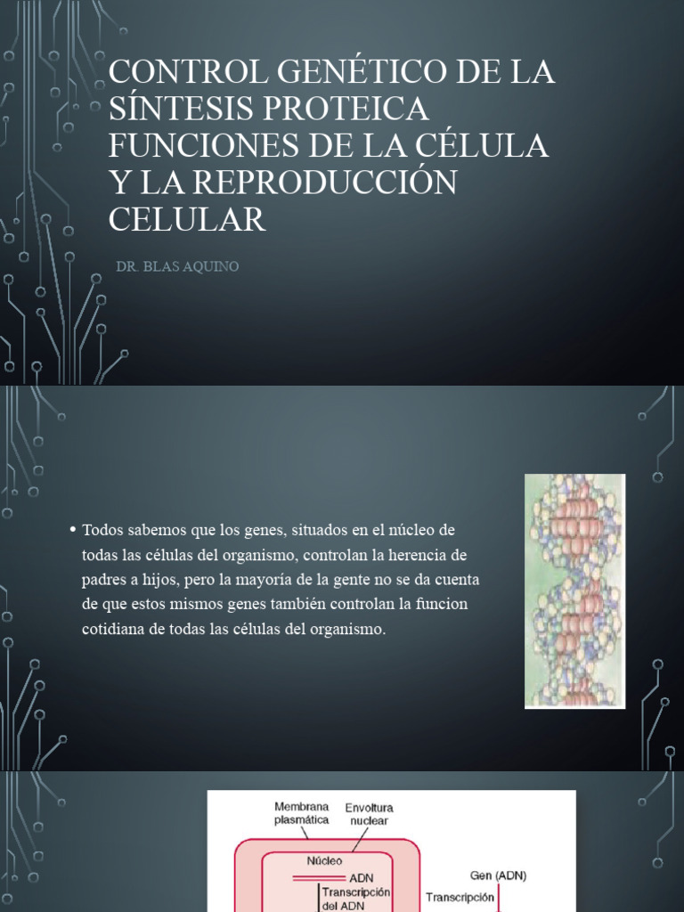 Control Genético en Células y Reproducción | PDF | Rna | Adn