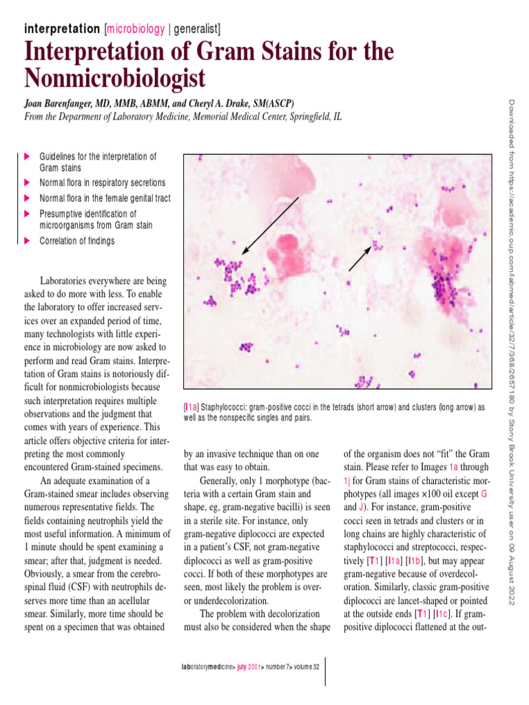 Gram Stain Interpretation Guide | PDF | Gram Negative Bacteria | Gram ...