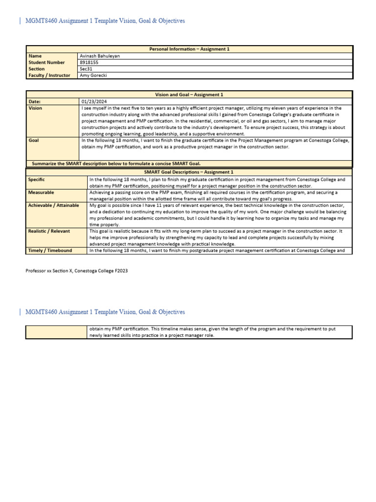 Assignment 2 Template Vision Goal Objective | PDF | Goal | Project Management Professional
