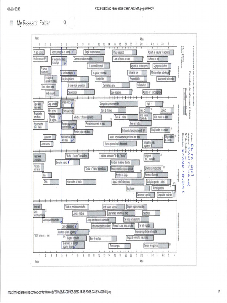 TEST DE DENVER | PDF