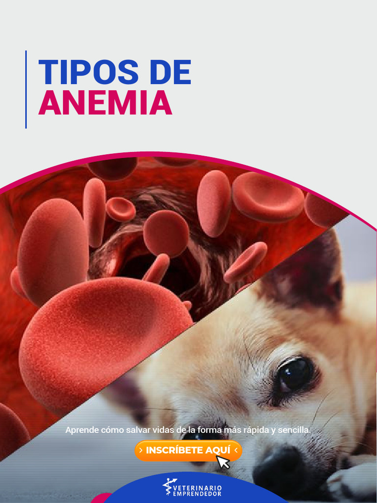 Tipos de Anemia | PDF | Anemia | Glóbulo rojo