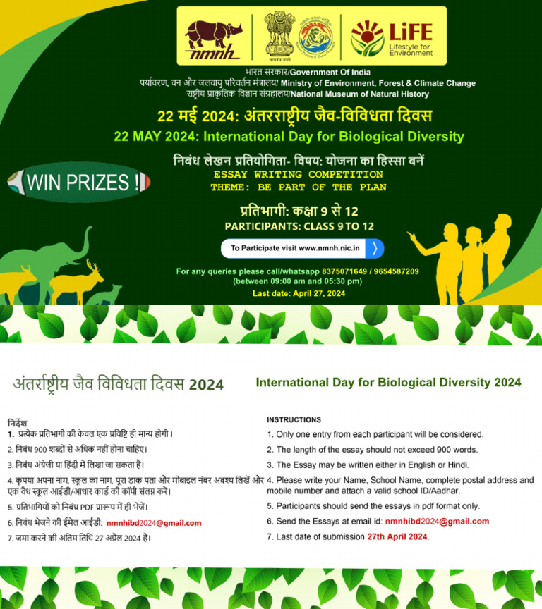 IBD 2024 - Essay Writing Competition | PDF