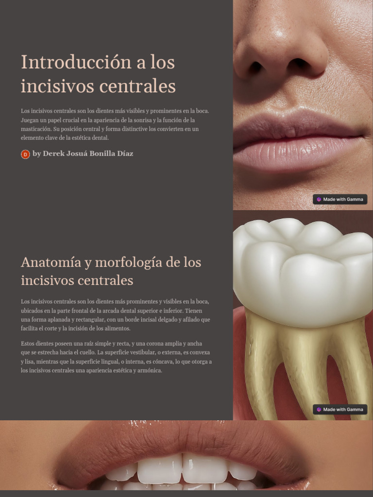 Introduccion A Los Incisivos Centrales | PDF | Odontología | Higiene oral