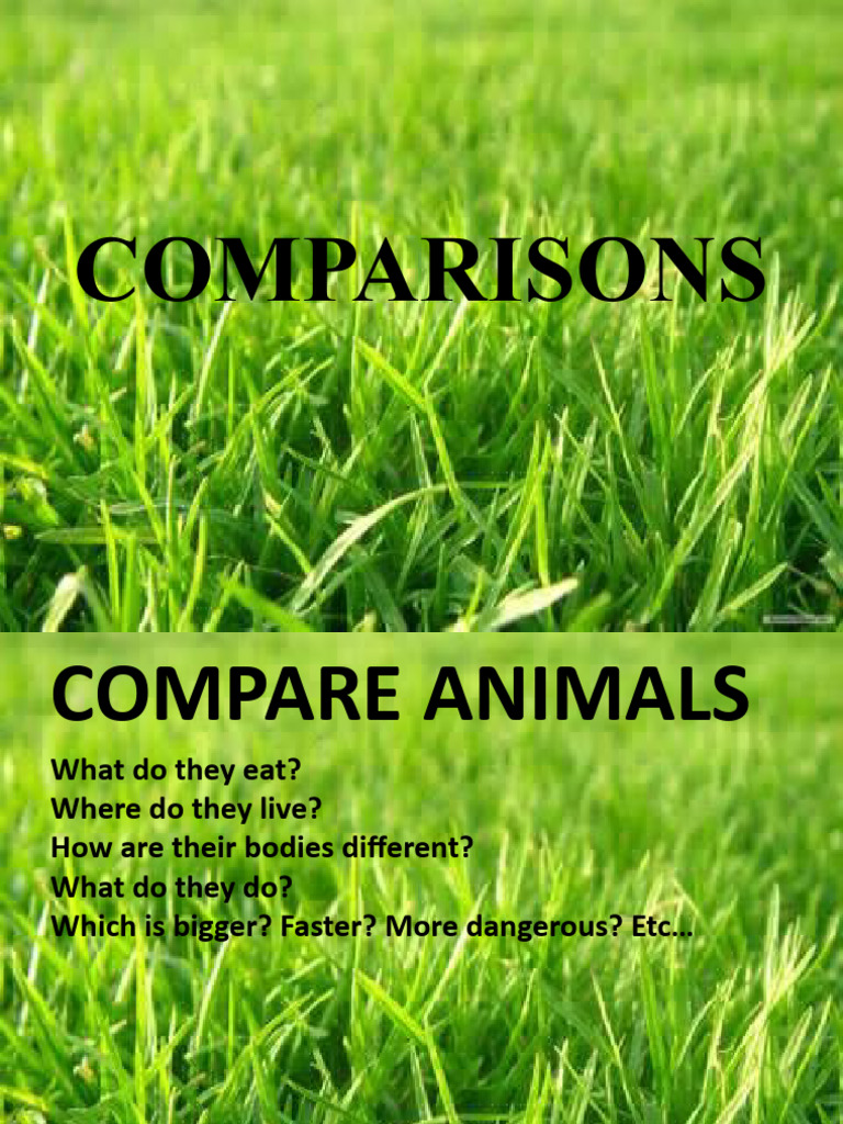 Comparisons With Animals Conversation Topics Dialogs Fun Activities ...
