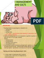 Pig Feeding Guidelines and Charts | PDF | Pig | Animals And Humans