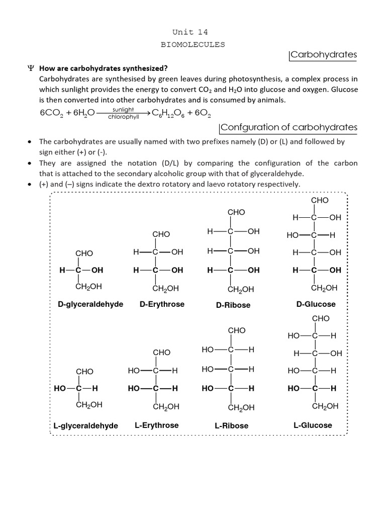 Unit-14 Biomolecules 2023 | Download Free PDF | Nucleotides | Lipid