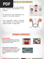 Tentramitrozón - Usos y Efectos Secundarios | PDF | Asma | Inflamación