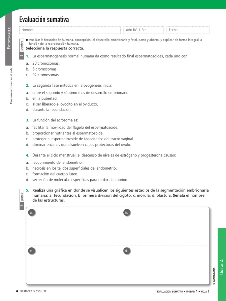 Sumativa Alren - Bach - G - B3 - U4 | PDF | Embrión | Biología