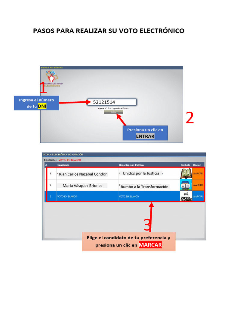 Pasos para Realizar Su Voto Electrónico | PDF