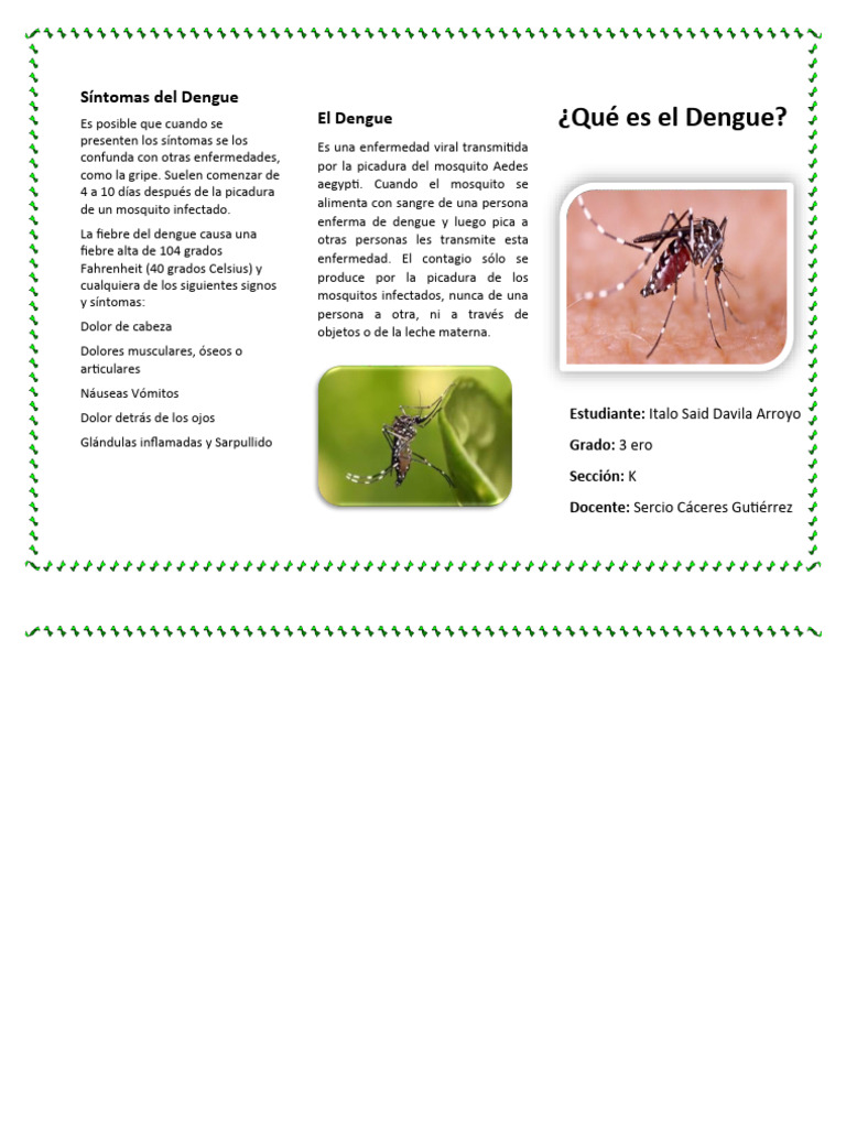 Qué Es El Dengue 2 | PDF | Epidemiología | Causas de la muerte