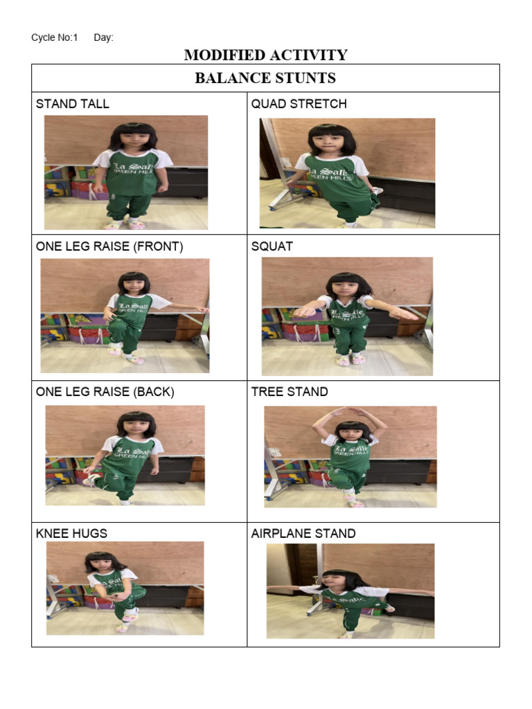 T3C1 Modified Activity Final1 | PDF