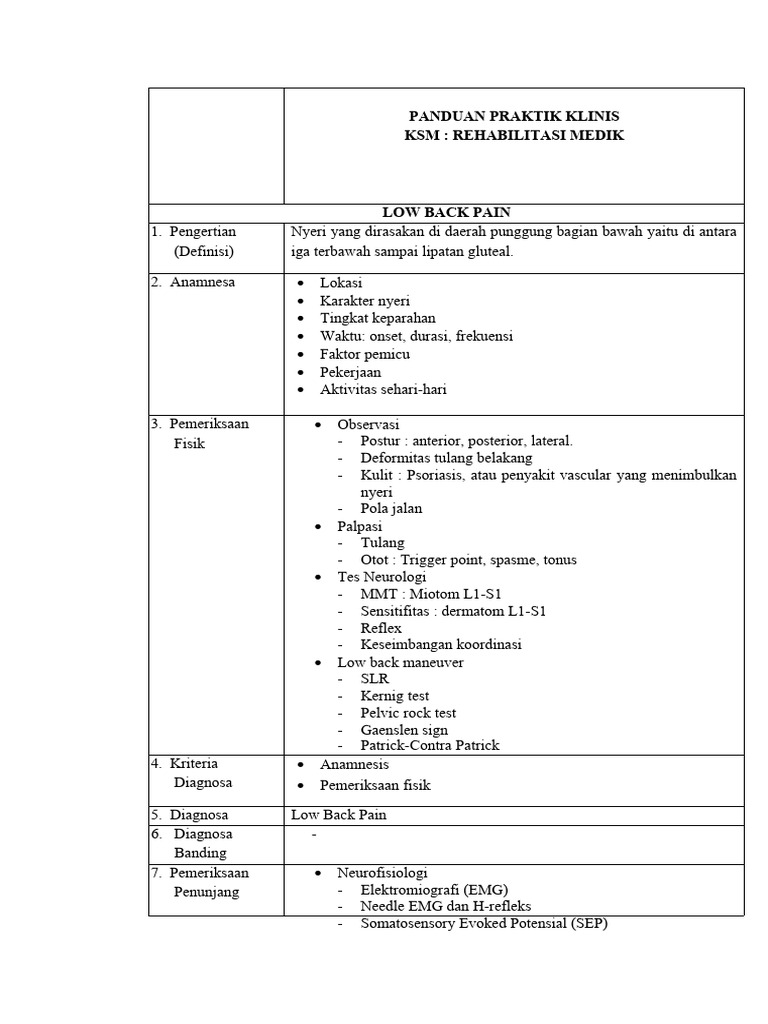 PPK Low Back Pain | PDF