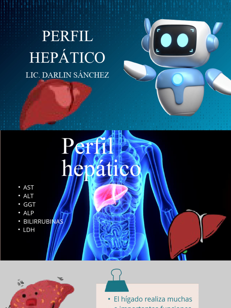 Perfil Hepático - 20240305 - 142453 - 0000 | PDF | Transaminasa ...