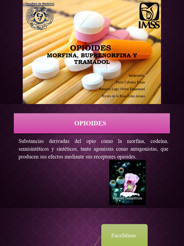 Algologia Opioides | Descargar gratis PDF | Opioide | Analgésico