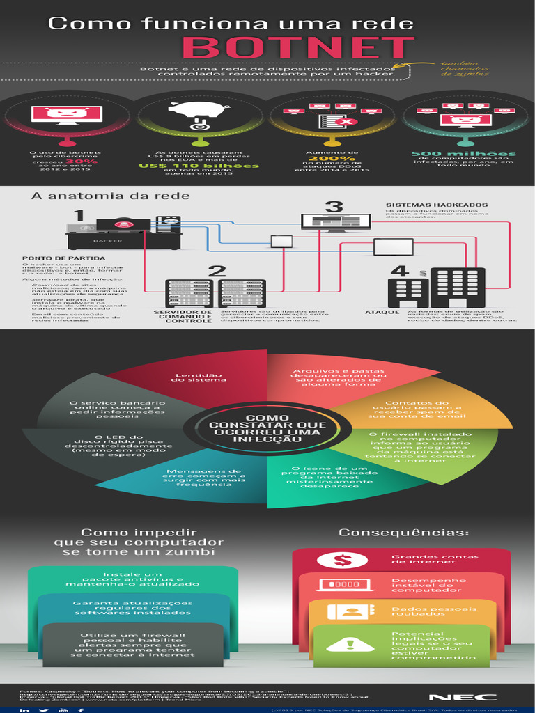 Infográfico - Botnet | PDF