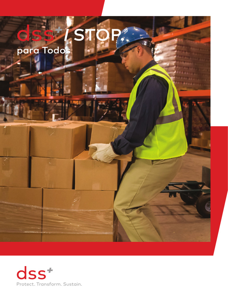 STOP-para-todos 2024 | PDF | Aprendizaje | Cognición