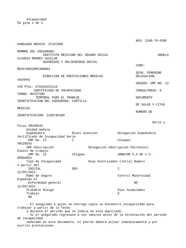 Incapacidad Imss Editable | PDF