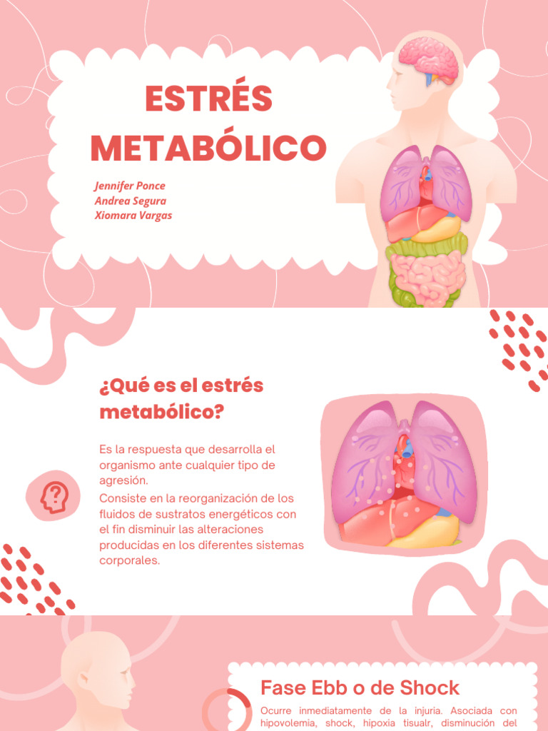 Estrés Metabólico: Fases y Tratamiento | PDF | Nutrición | Dieta y ...