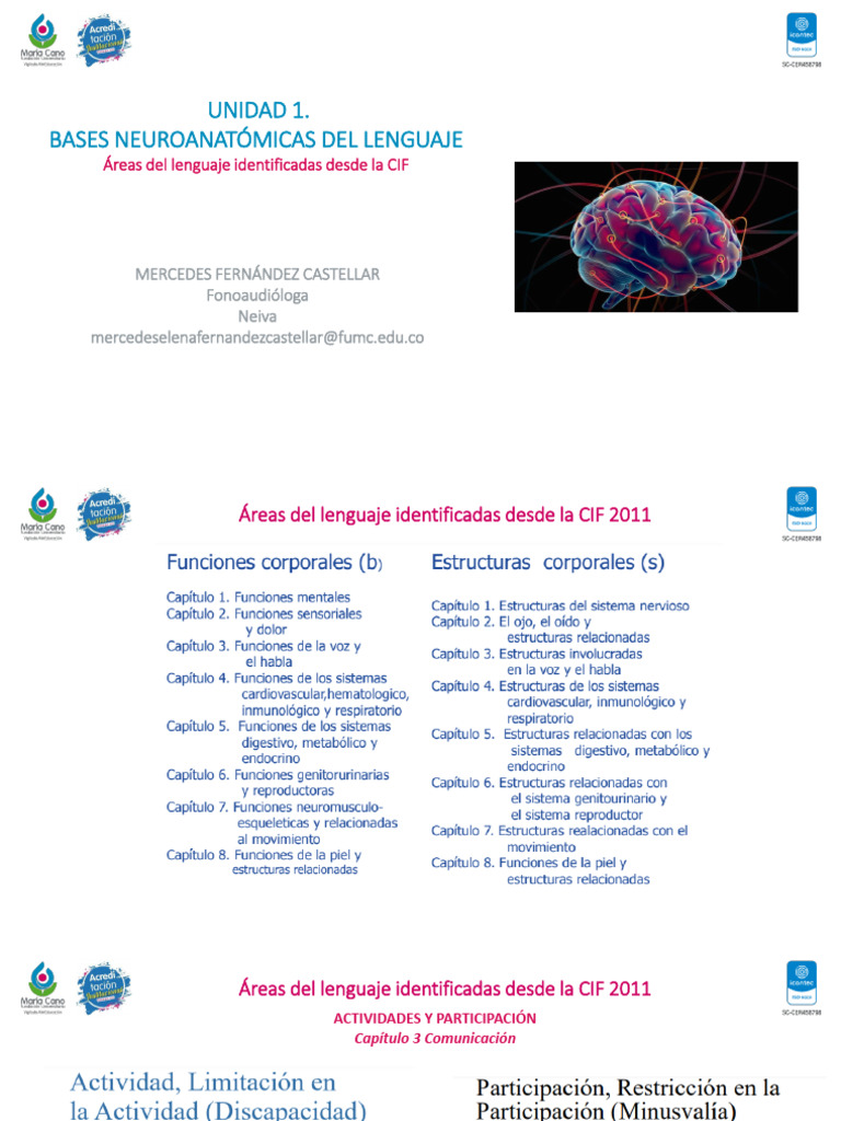 Áreas Del Lenguaje Identificadas Desde La CIF | PDF | Palabra ...