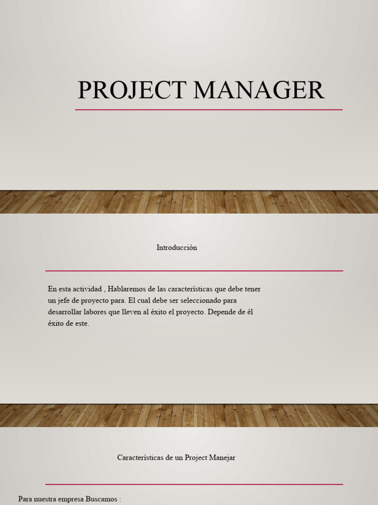 Project Manager | PDF | Negocios