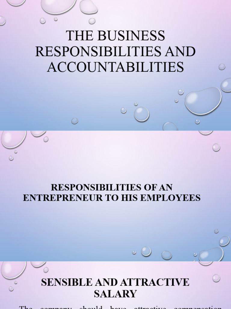 The Business Responsibilities and Accountabilities | PDF | Employment ...