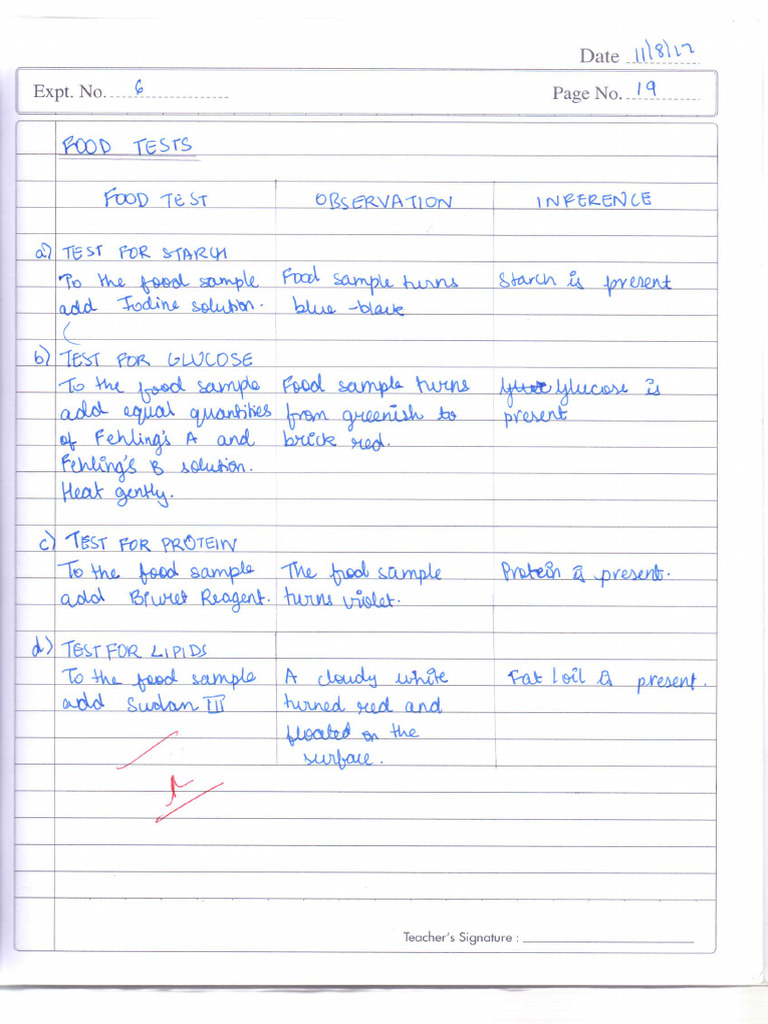 Grade 9 - Biology Record Exp 6-12 | PDF