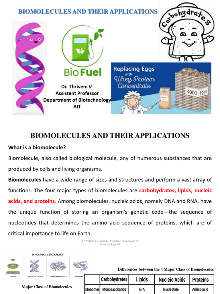 Biomolecules: Types and Applications | PDF | Biomolecules | Lipid