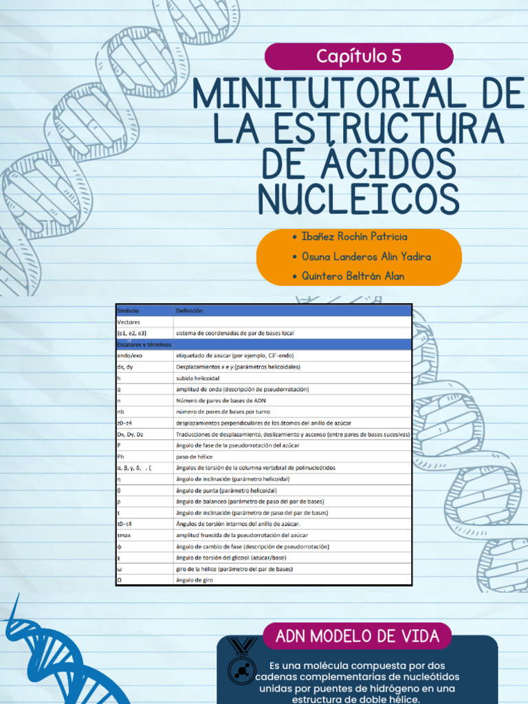 Presentación Biología Organización Del Ácido Desoxirribonucleico (ADN) Ilustrativo Azul | PDF ...