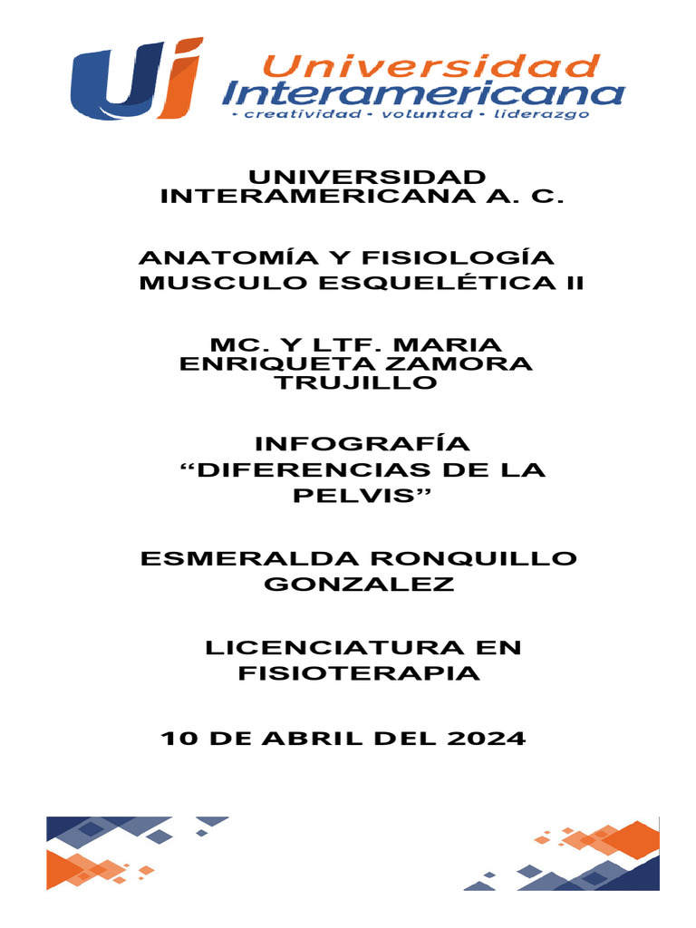 Diferencias de La Pelvis - Infografía | PDF | Pelvis | Anatomía