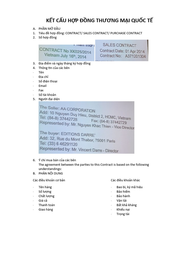 KẾT CẤU HĐ TMQT | PDF