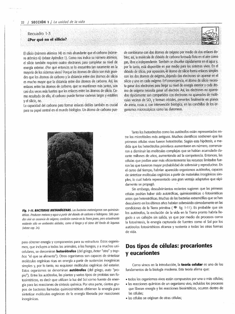 Capítulo 1 - Curtis 7ma Edición | PDF