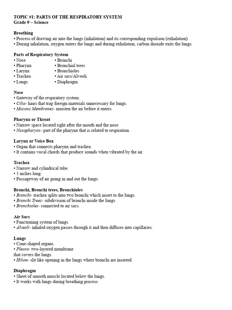 Parts of The Respiratory System - Handout | PDF