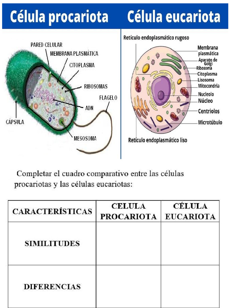 Sesión #06 - CT Bloque Ii Cuarto Recurso | PDF Sesión #06 - CT Bloque Ii Cuarto Recurso | PDF