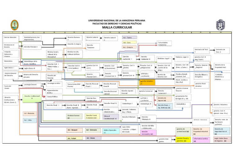 Malla Derecho y Ciencias Politicas DCP | PDF | Derecho Civil (Common ...